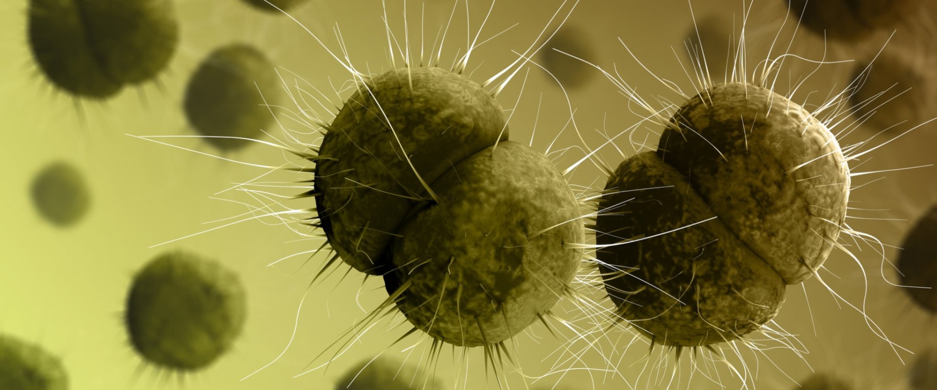 STDs/STIs: Treatments and Prevention for Gay Men